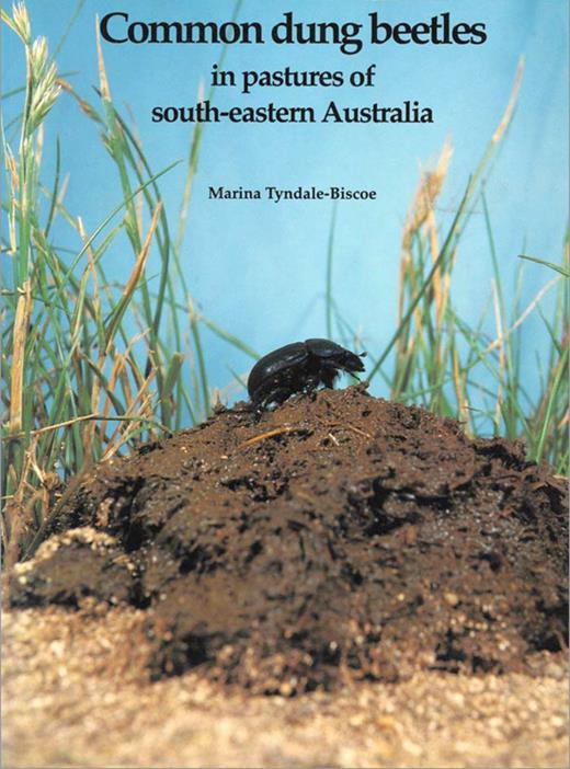 Why were dung beetles brought to Australia? | Common Dung Beetles in ...
