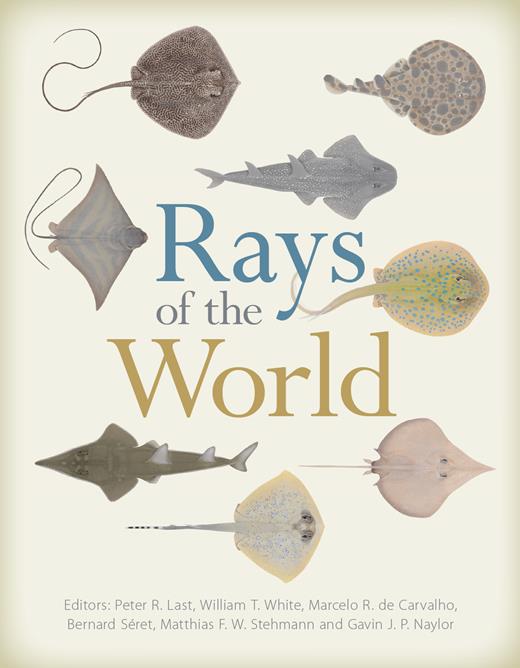 Pan RaysFamily Zanobatidae | Rays of the World | Books Gateway | ConnectSci