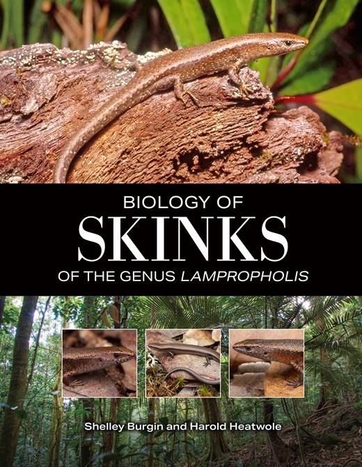 Biology of Skinks of the Genus Lampropholis | Books Gateway | ConnectSci