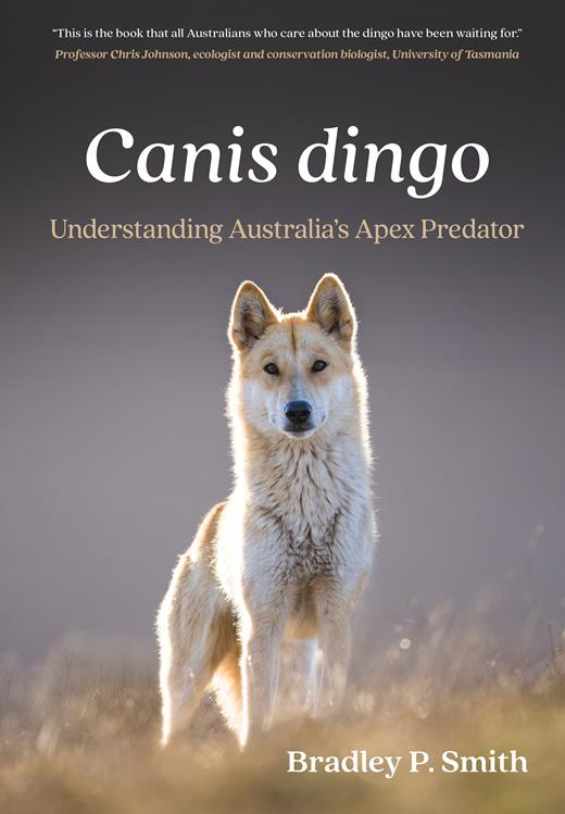 Part 4: An identity in crisis | Canis dingoUnderstanding Australia’s ...
