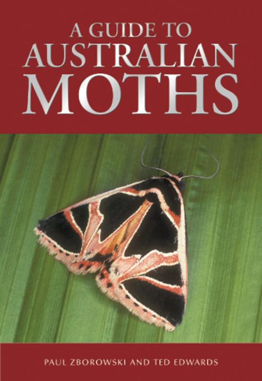A Guide to Australian Moths | Books Gateway | ConnectSci
