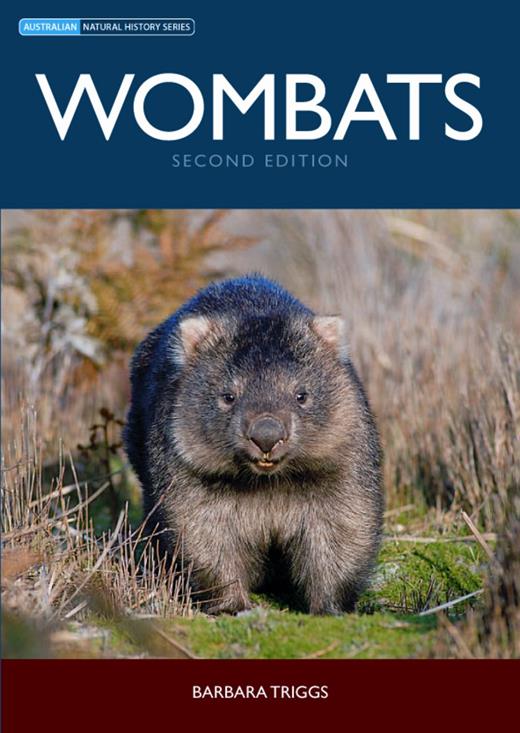 The wombat itself | Wombats | Books Gateway | ConnectSci