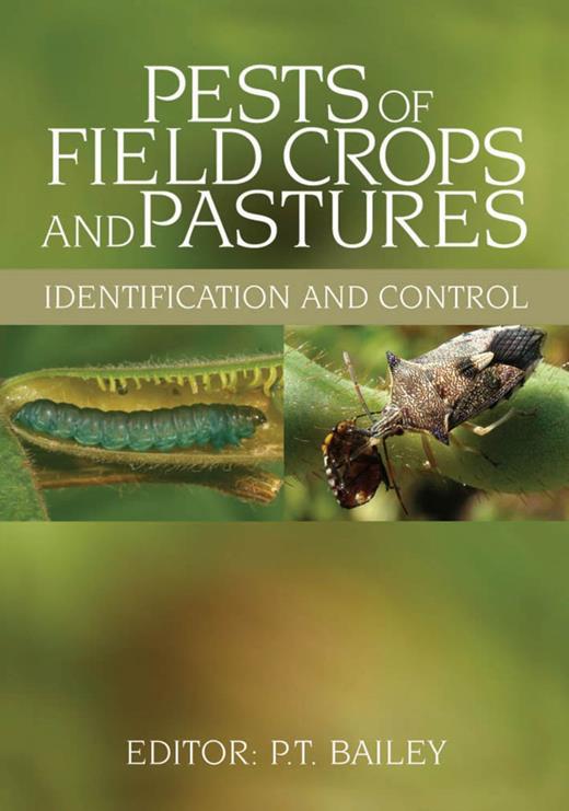MAIZE | Pests of Field Crops and PasturesIdentification and Control ...