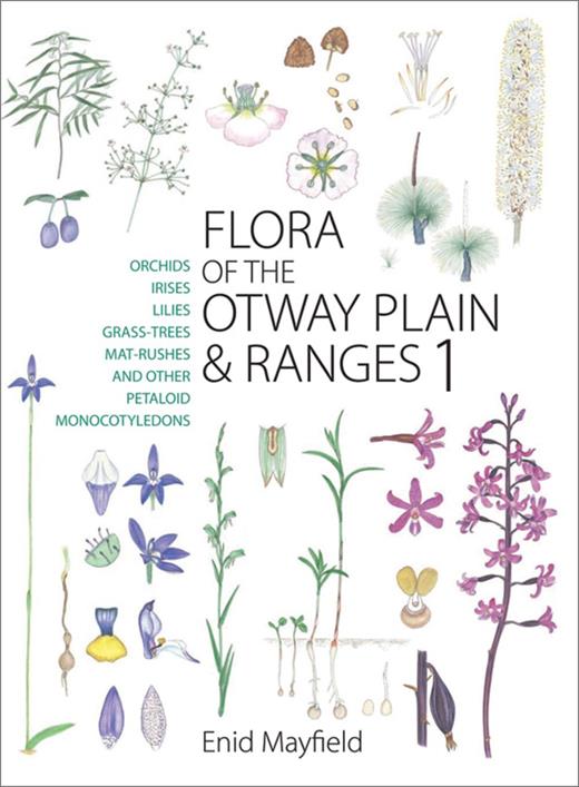 ASTELIACEAEAstelias | Flora of the Otway Plain and Ranges 1Orchids ...