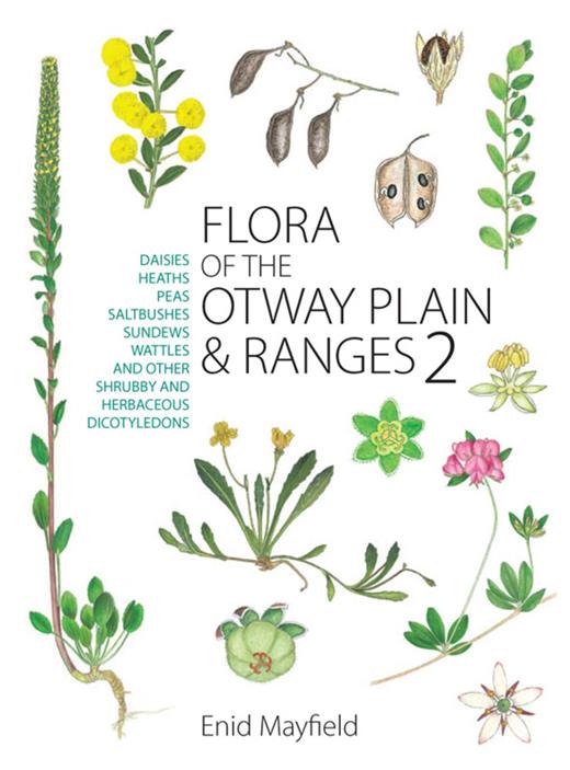 Characteristics of Dicotyledons | Flora of the Otway Plain and Ranges ...