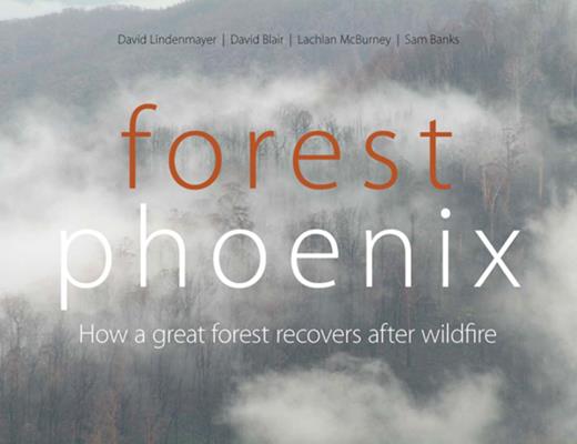 Forest Phoenix: How a Great Forest Recovers After Wildfire | Books ...