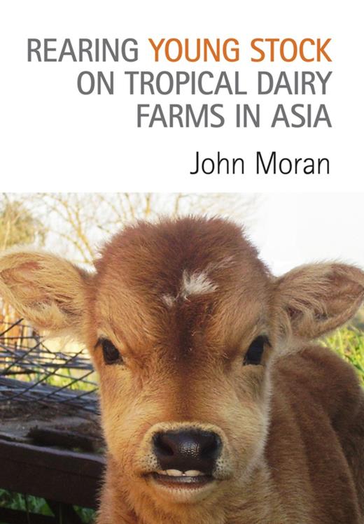 Mating and calving management of dairy heifers | Rearing Young Stock on ...