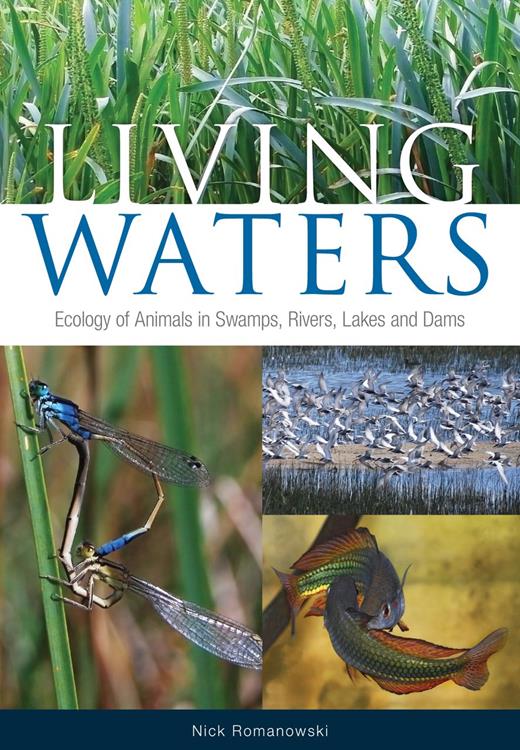 The diversity of wetland animals | Living WatersEcology of Animals in ...