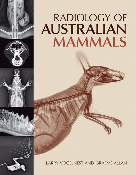 Dental radiology | Radiology of Australian Mammals | Books Gateway ...