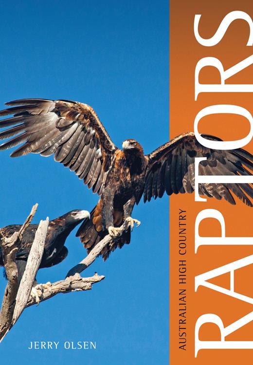 Raptor habitats in the high country | Australian High Country Raptors ...