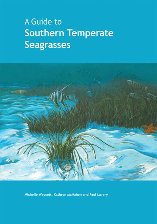 A Guide to Southern Temperate Seagrasses | Books Gateway | ConnectSci