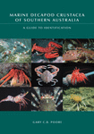 Astacidea – scampi and crayfish | Marine Decapod Crustacea of Southern ...