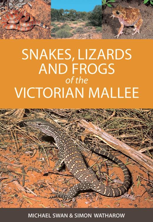 Flap-footed Lizards | Snakes, Lizards and Frogs of the Victorian Mallee ...