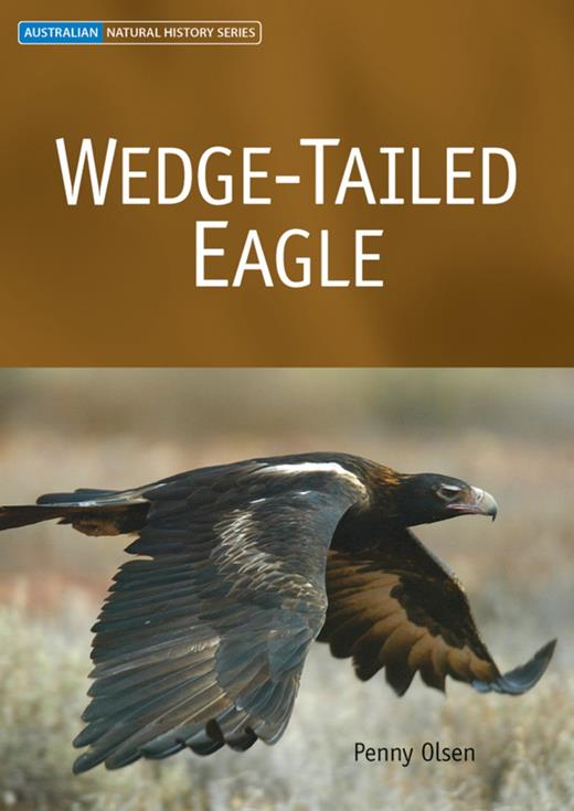 From egg to adult | Wedge-tailed Eagle | Books Gateway | ConnectSci