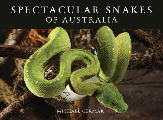 ACROCHORDIDAE | Spectacular Snakes of Australia | Books Gateway ...