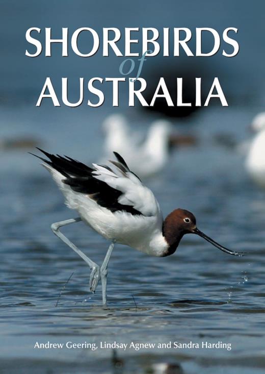 Species descriptions | Shorebirds of Australia | Books Gateway | ConnectSci