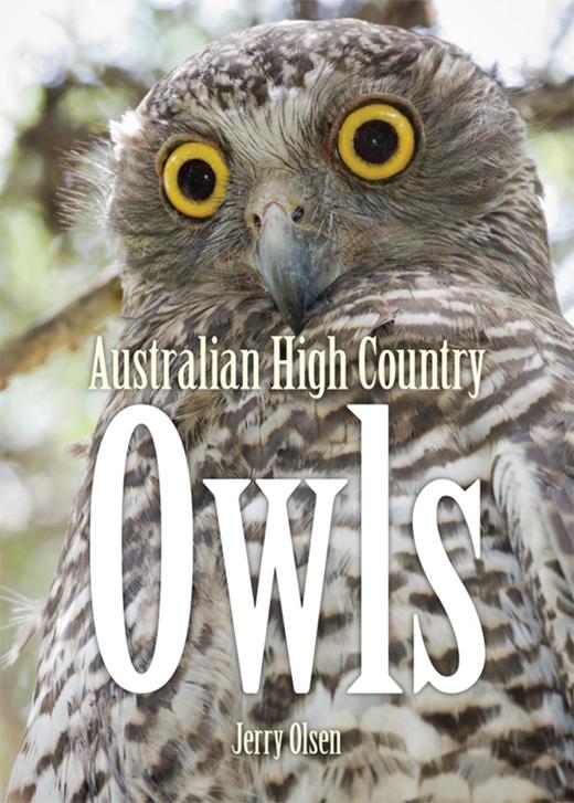 Australian High Country Owls | Books Gateway | ConnectSci