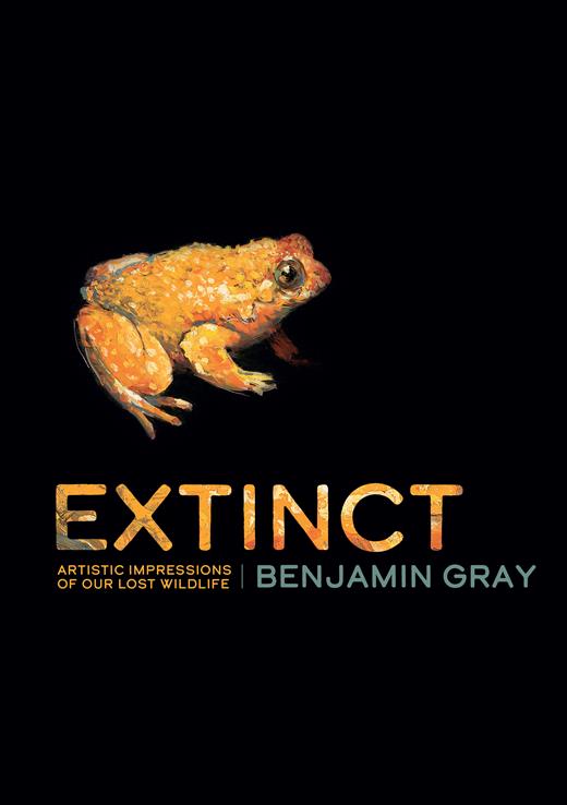 Christmas Island Pipistrelle: Pipistrellus murrayi | ExtinctArtistic ...