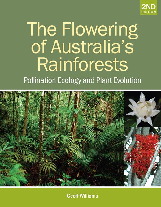 Categorising rainforest plants | The Flowering of Australia’s ...