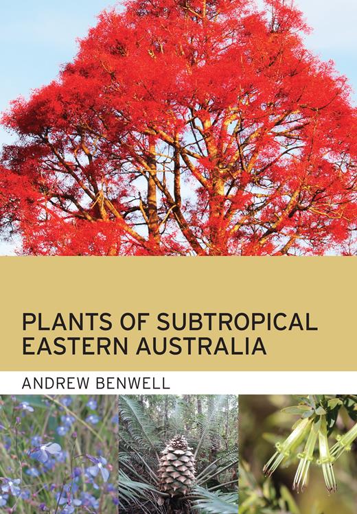 Littoral Rainforest | Plants of Subtropical Eastern Australia | Books ...
