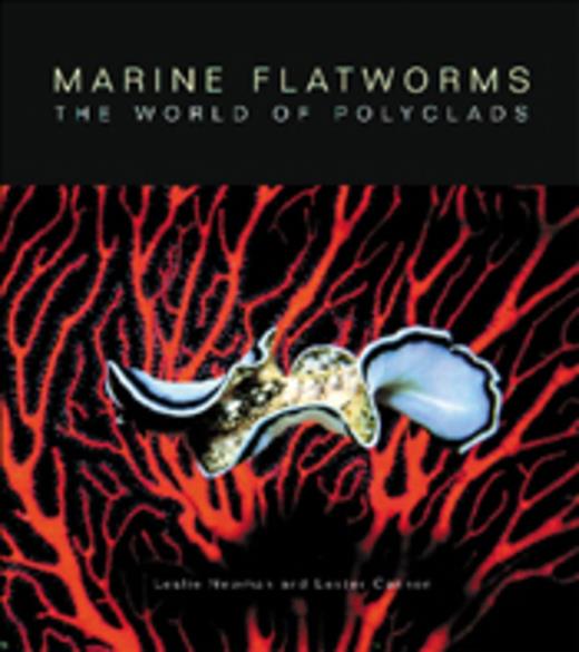 Marine Flatworms: The World of Polyclads | Books Gateway | ConnectSci