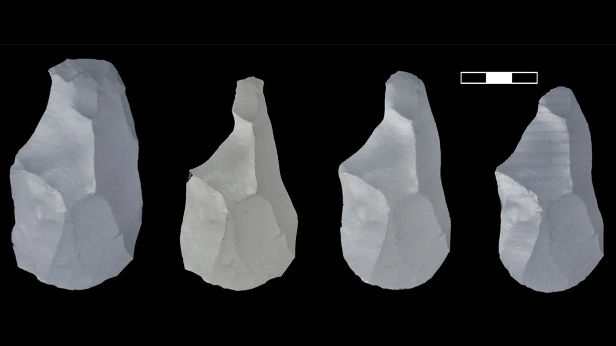 Modern tech proves Neanderthal were skilled stone tool makers | News ...
