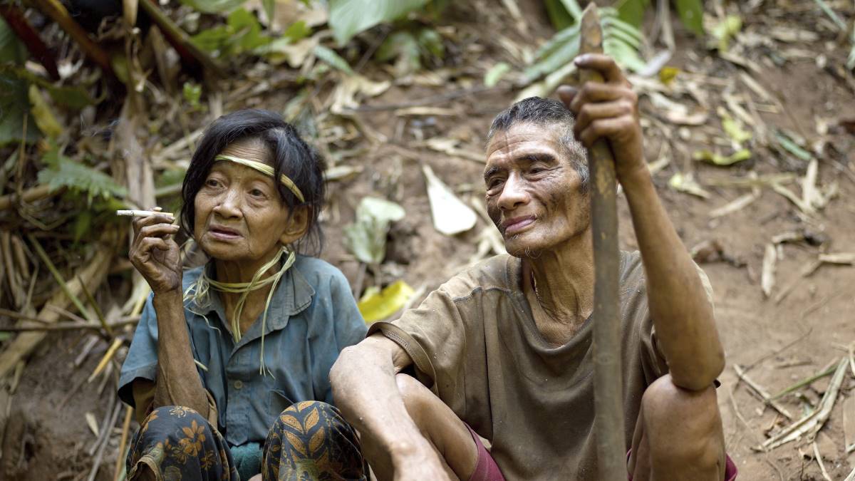 Ancient Asian human genomes shed light on origins of languages | News ...
