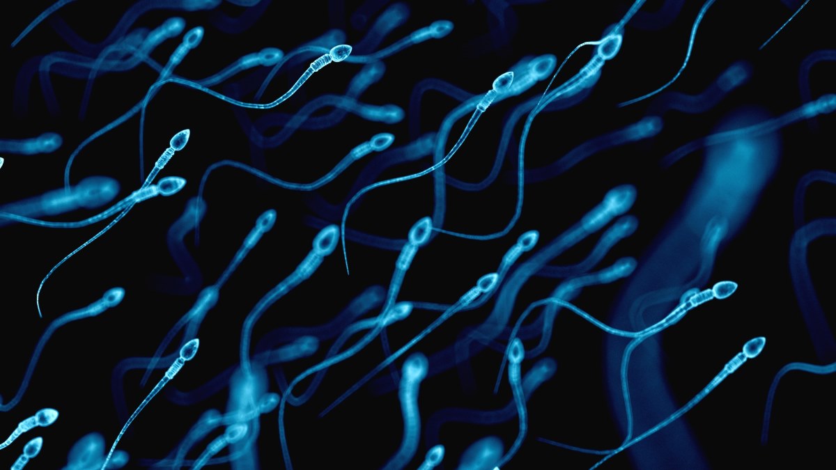 Structure of important male contraceptive target finally solved | News ...
