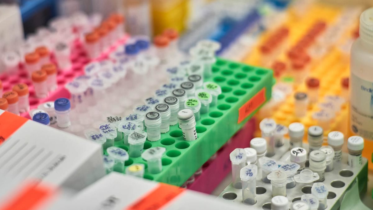 Tiny protein offers new path for gene editing | News | ConnectSci
