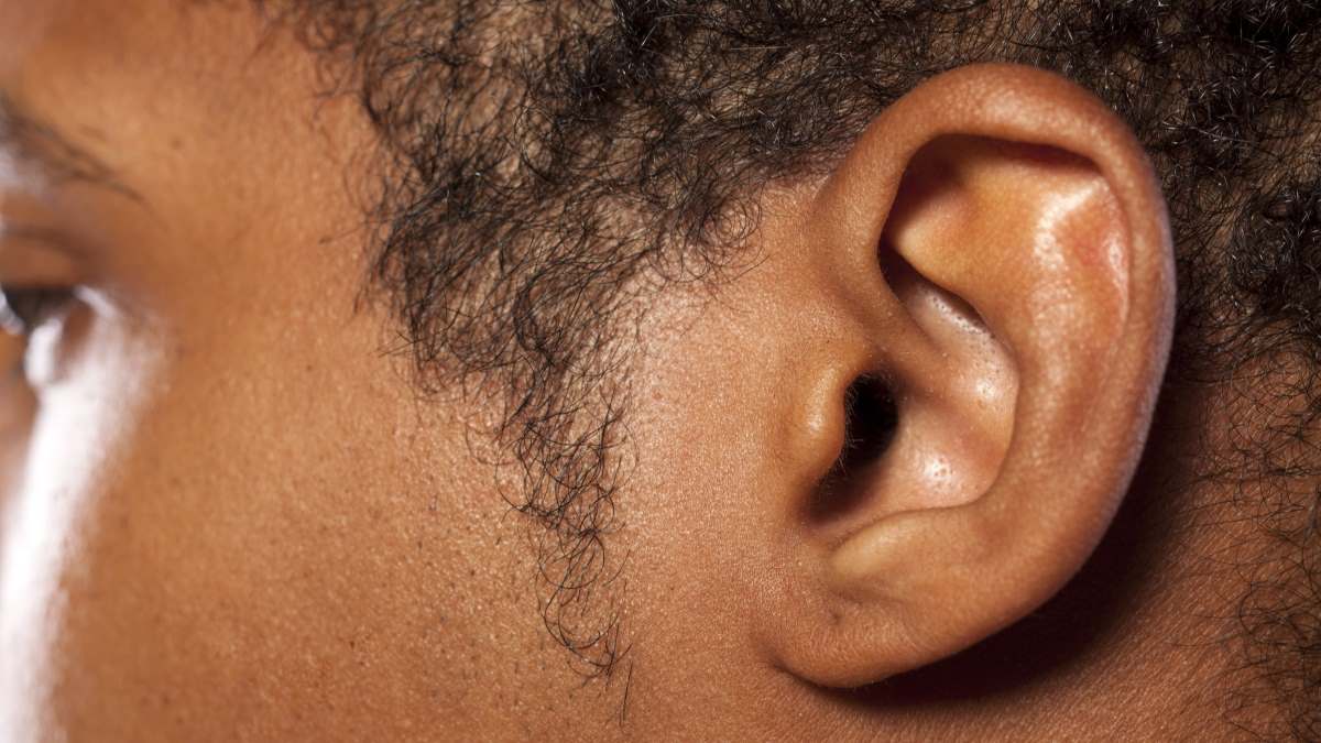 Ear muscle thought useless moves when listening hard | News | ConnectSci