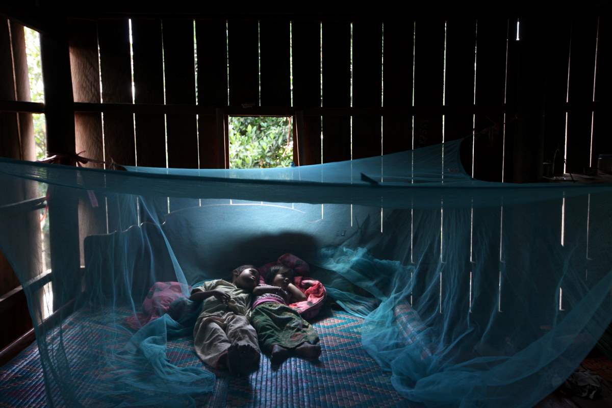 Treating bed nets to kill malaria parasite may sidestep resistance ...