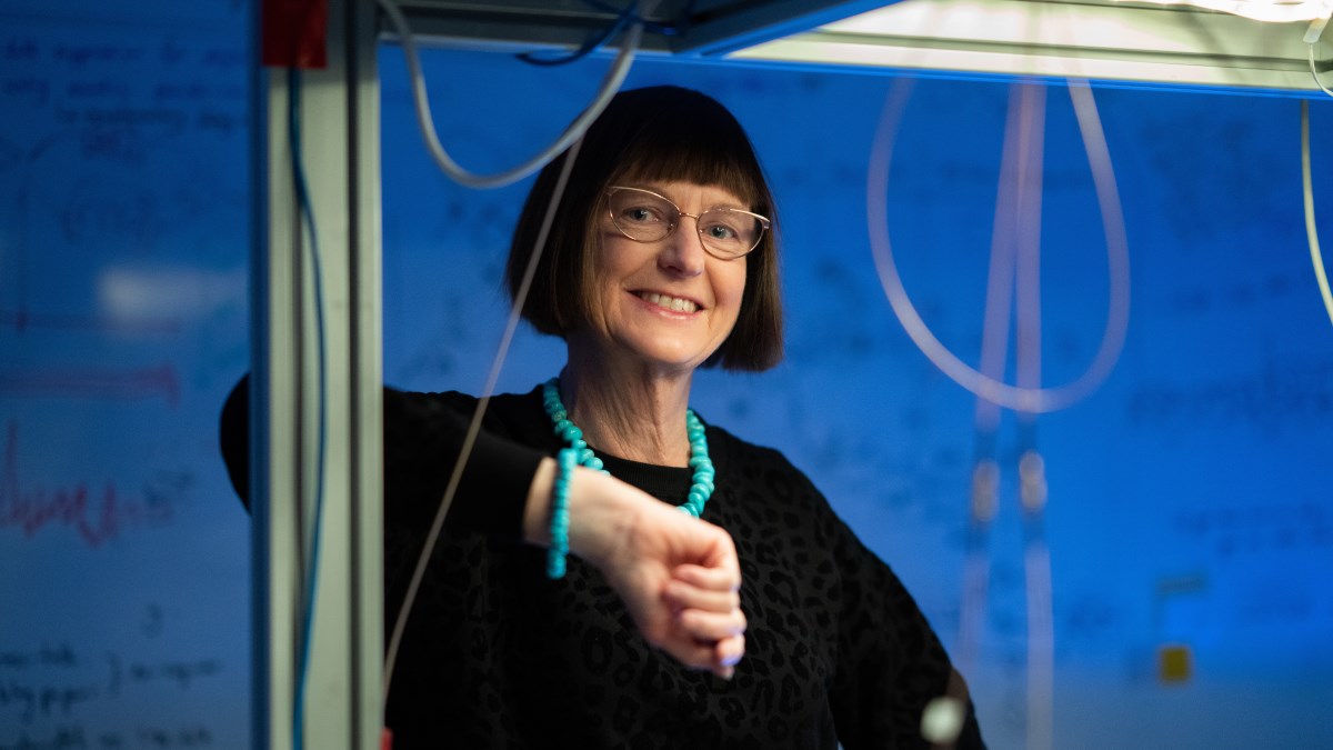 Theoretical physicist wants to know what’s at a singularity | News ...