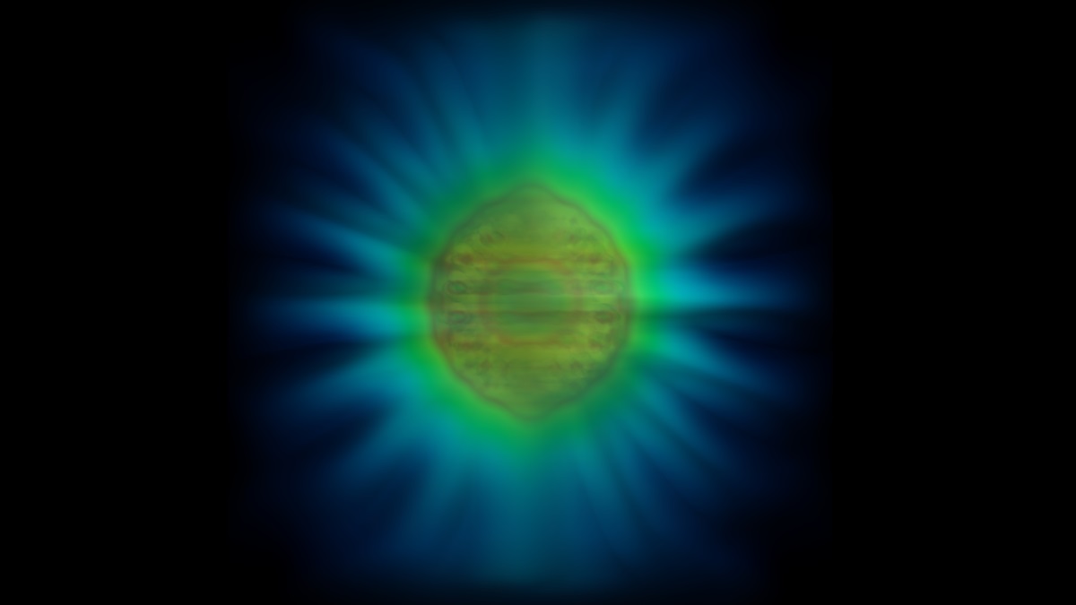 The shape of light: “something that hasn’t been seen before in physics ...