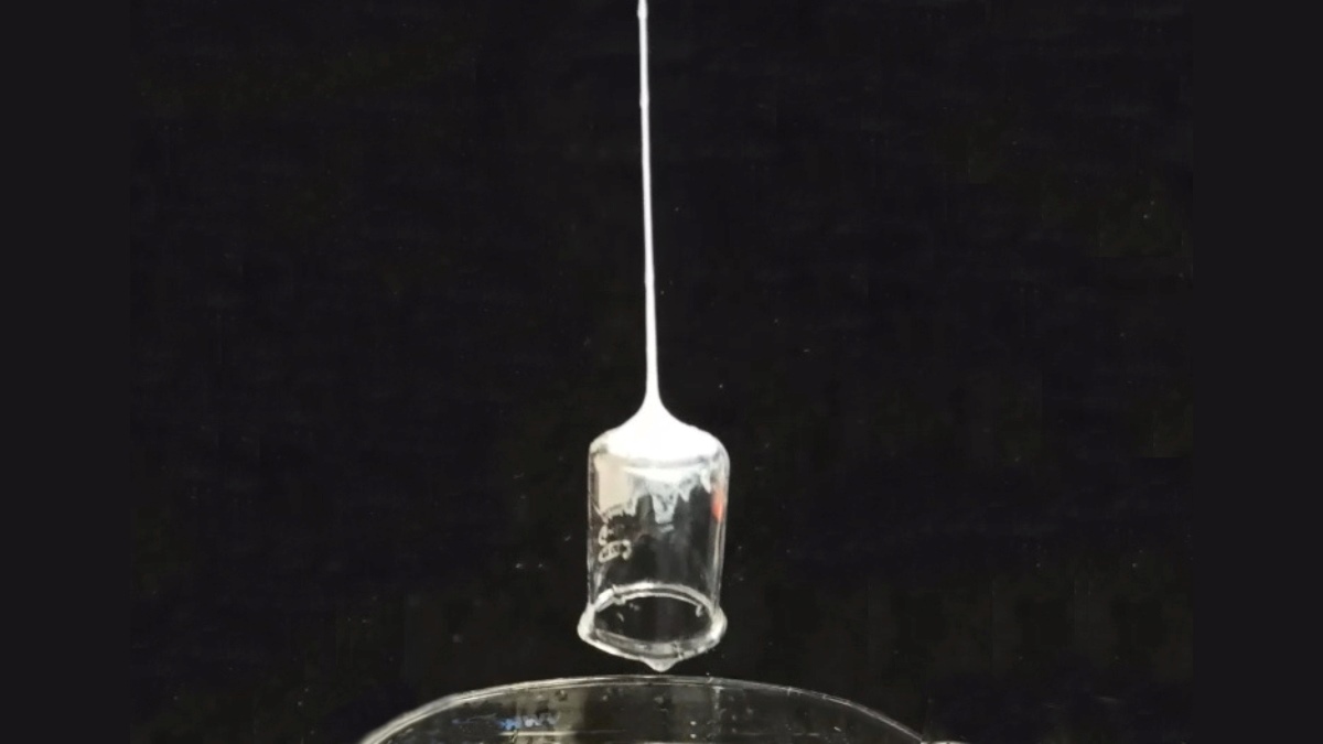 Scientist create Spider-Man inspired silk and web-shooter | News ...