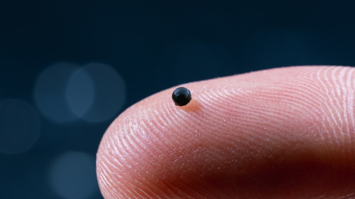 Micro-robots may soon deliver crucial stroke medication | News | ConnectSci