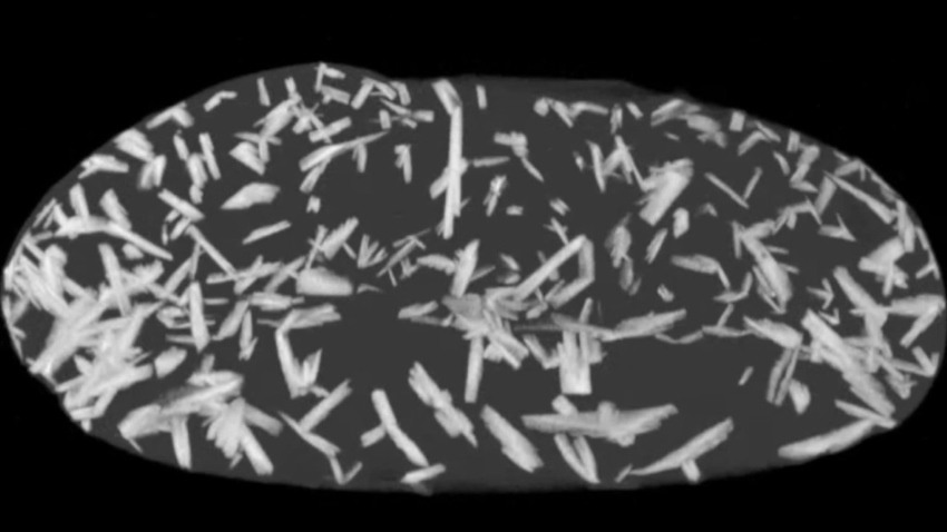 See crystals grow inside liquid metal | News | ConnectSci