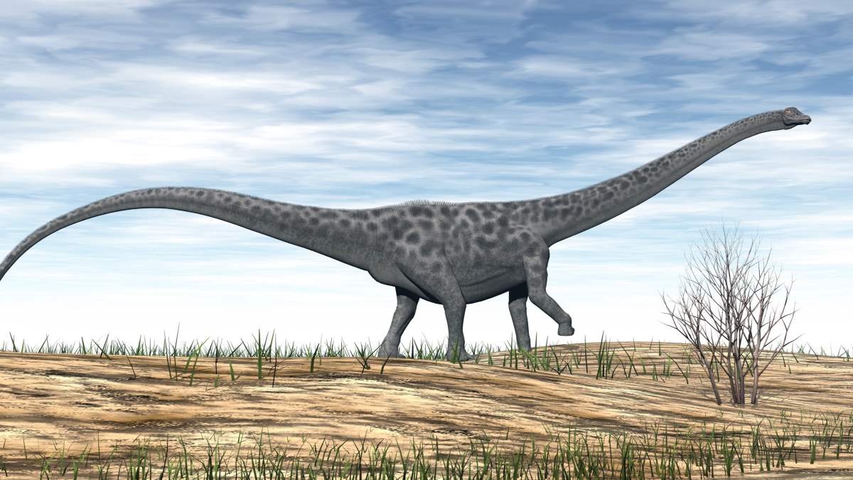 Palaeontologists see colour pattern of long-necked dinosaur for the ...