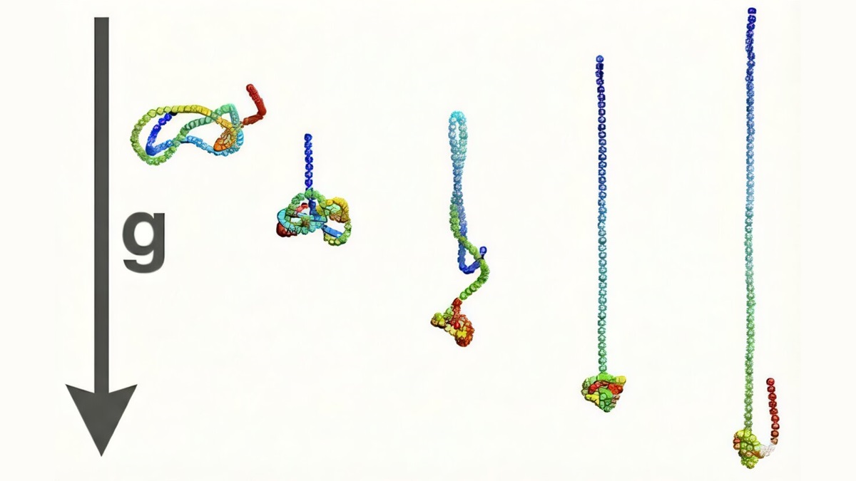 Untangling fluid knot physics – not kidding! | News | ConnectSci