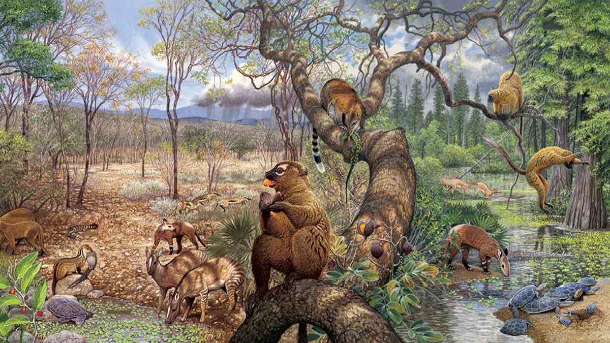 Ancient clues hint to how rainfall could change in worst-case climate ...