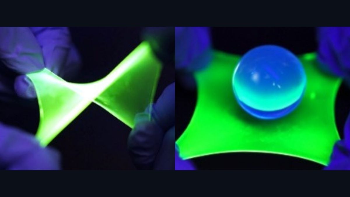 Stretchy OLED a step towards wearable displays | News | ConnectSci