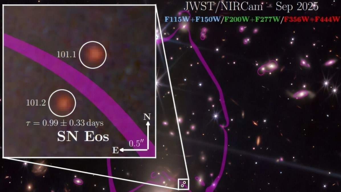 Earliest Type II supernova in the universe discovered | News | ConnectSci
