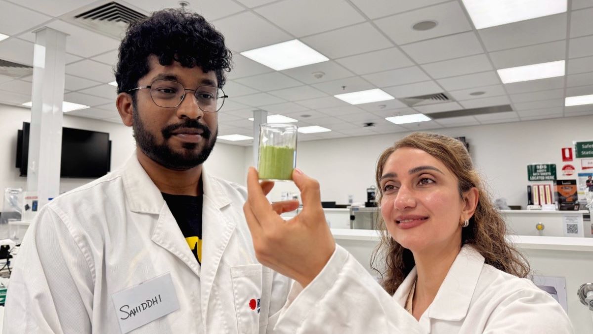 “Old man” indigenous plant found to have health benefits | News ...