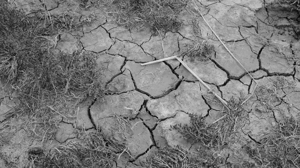 New global database reveals long term trends in soil health | News ...